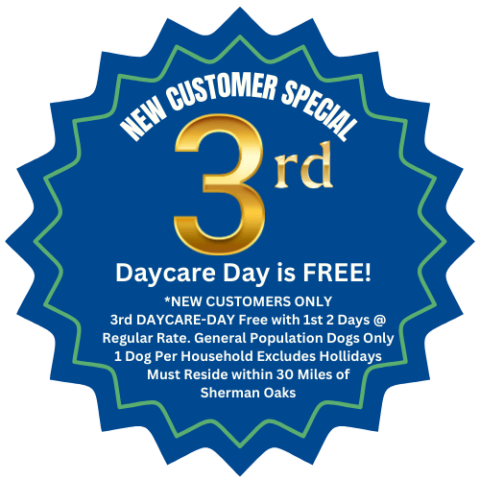 Rates of Dog Boarding, Daycare, Grooming» Paw Haven